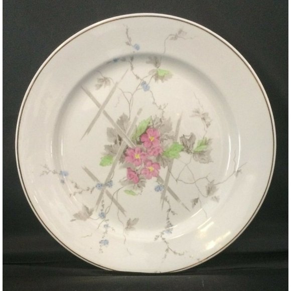 Johnson Brothers | Dining | Antique Victorian Aesthetic Ironstone Plate ...
